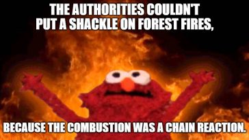 The authorities couldn't put a shackle on forest fires, because the ...