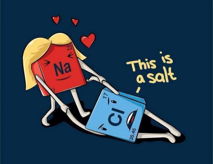 A salt - Chemistry Jokes
